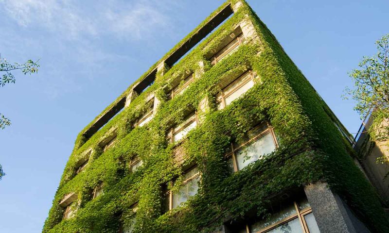 Arquitectura bioclimática: aprovecha el entorno y los recursos