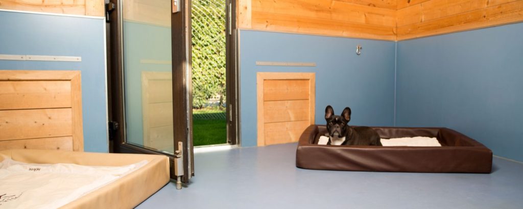 15 hoteles para perros de auténtico lujo - yaencontre