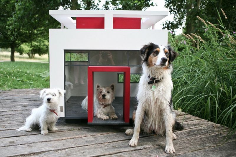 10 casas geniales para tu mascota - yaencontre